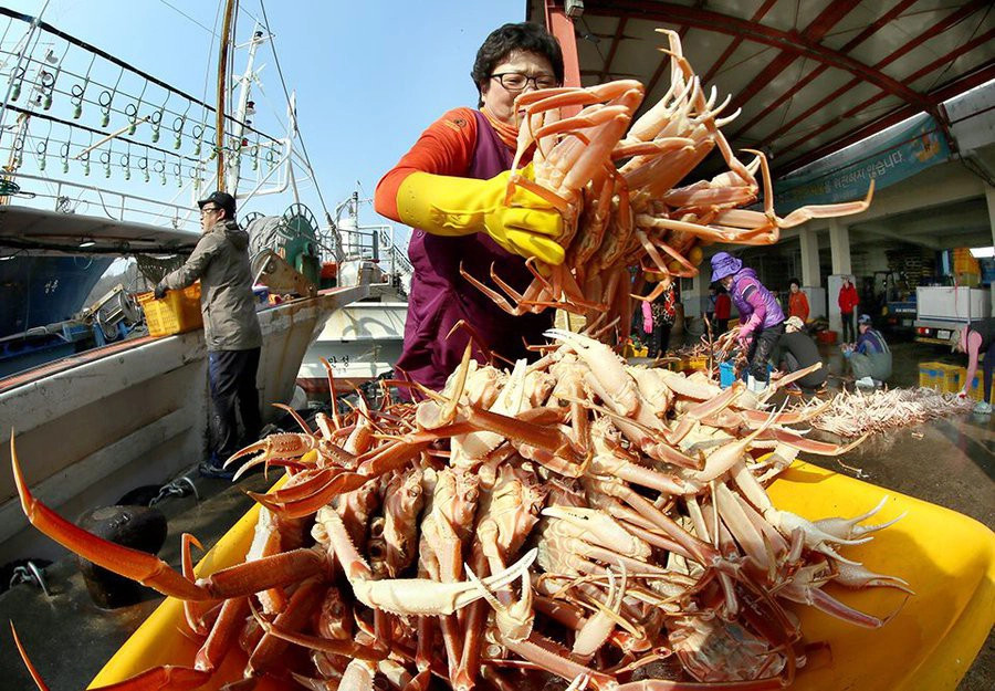 Tại sao nên đi du lịch Hàn Quốc vào mùa xuân?